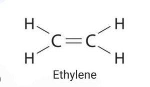 Lewis Structure of C2H4 - Ethene (Ethylene) - BIOCHEMINSIDER